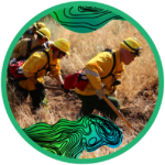 Firefighting Techniques to Prevent the Spread of Wildfires | WFCA