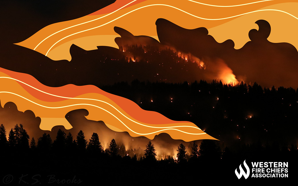 What Happens During a Wildfire? | WFCA