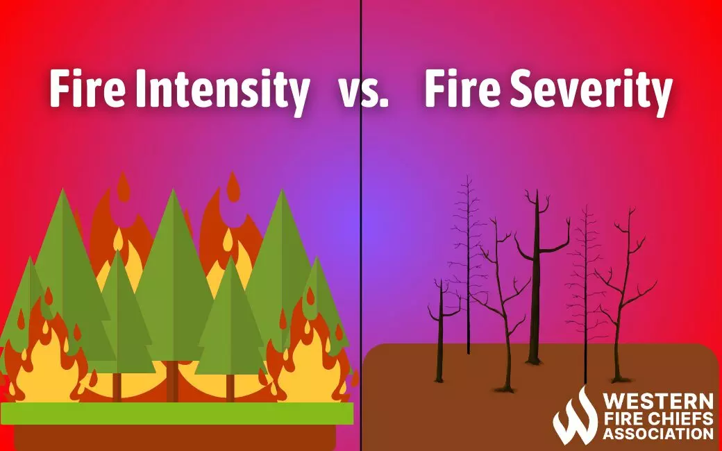 Fire Intensity: An In-Depth Guide | WFCA