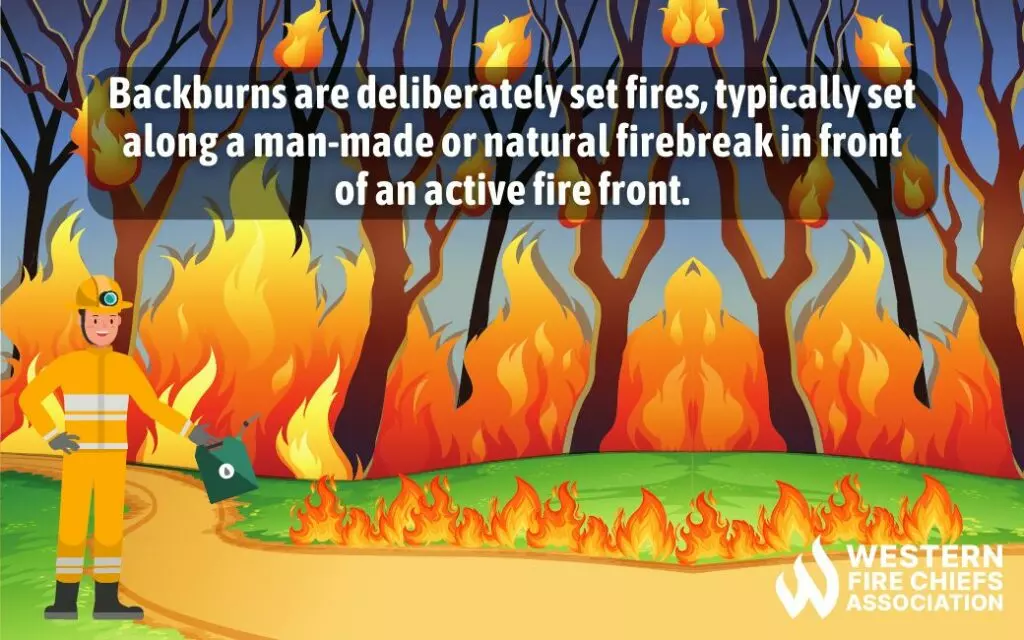 Understanding Backburning and Wildfire Suppression | WFCA