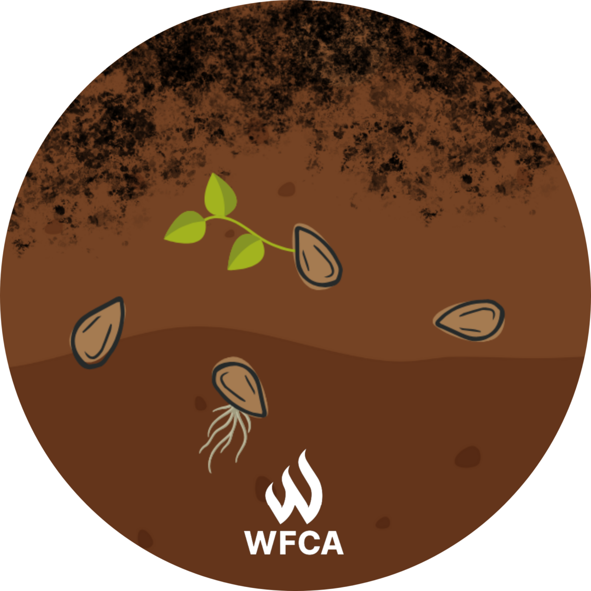 How Does Wildfire Affect Soil and Vegetation? | WFCA