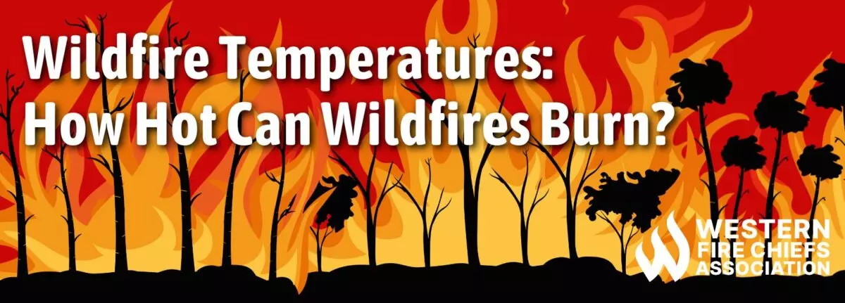 Wildfire Temperatures: How Hot Can Wildfires Burn? | WFCA