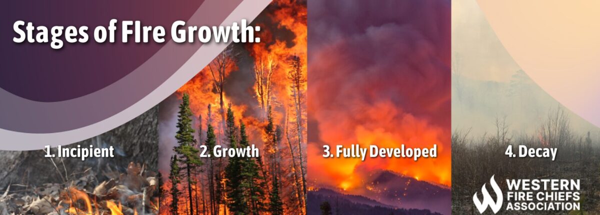 The 4 Stages of Fire Growth Explained | WFCA