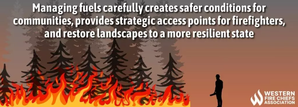 Fuels Management and Wildland Fire Fuel Reduction | WFCA