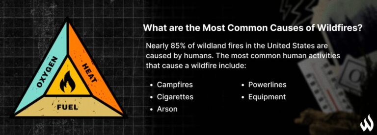 How Do Wildfires Start and Spread? | WFCA